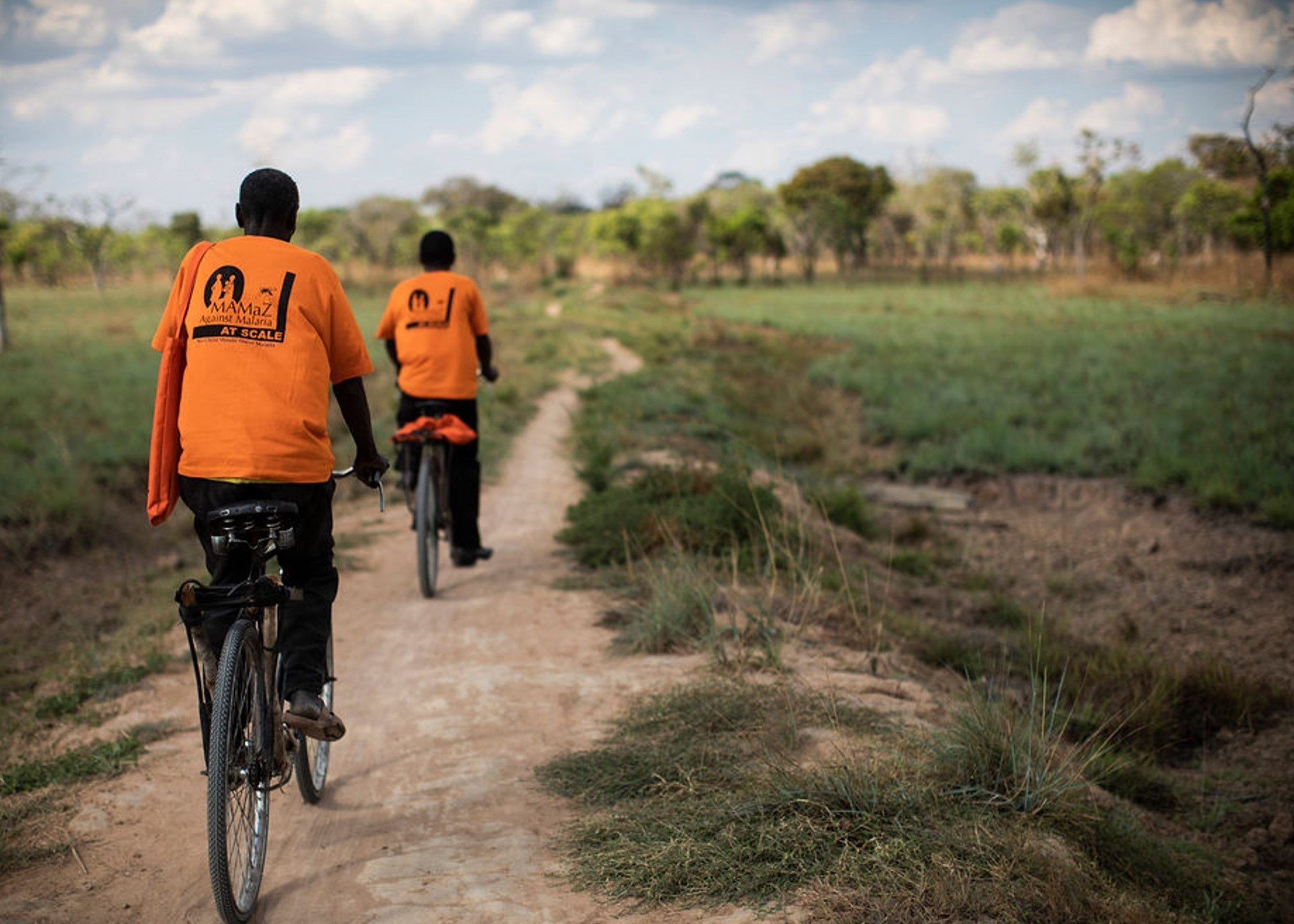 Leave No Fever Unresolved: Report highlights links between malaria and ...